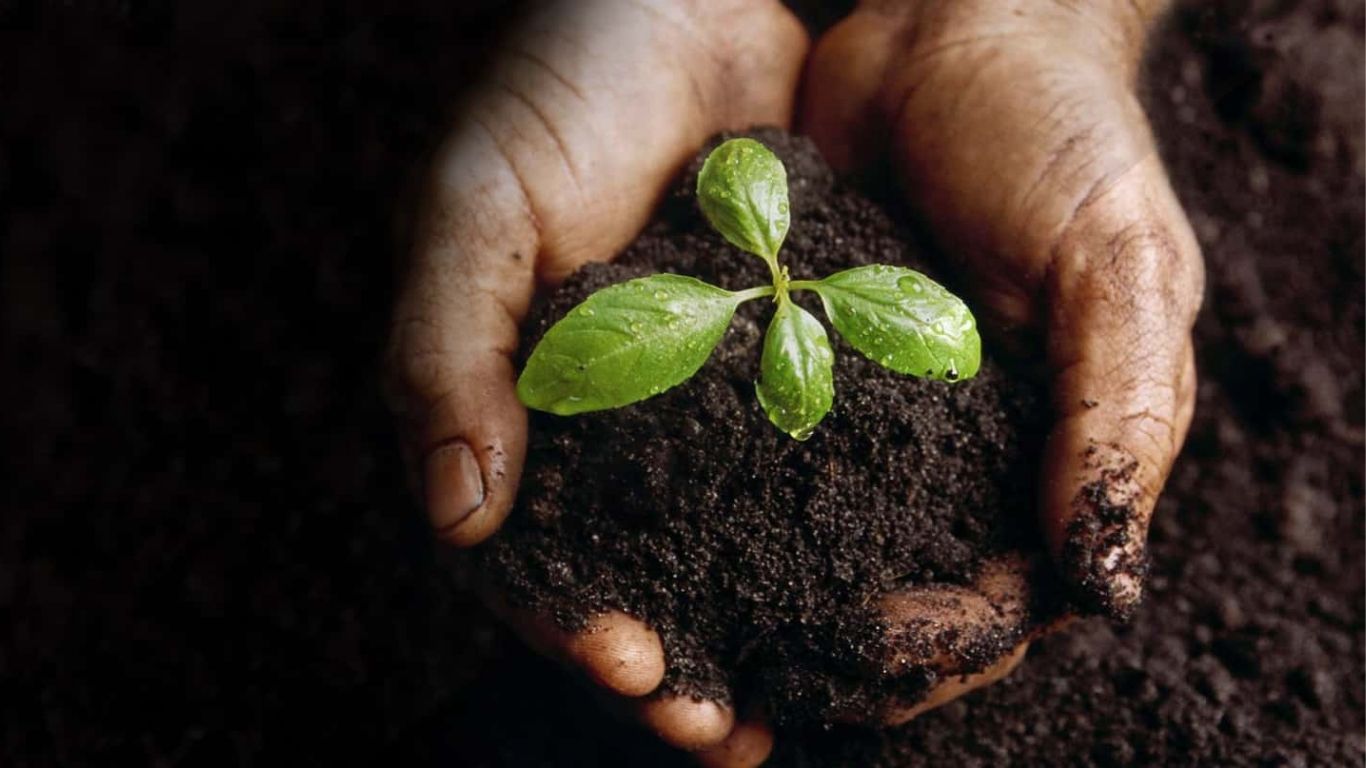 Education - Atlas Organics