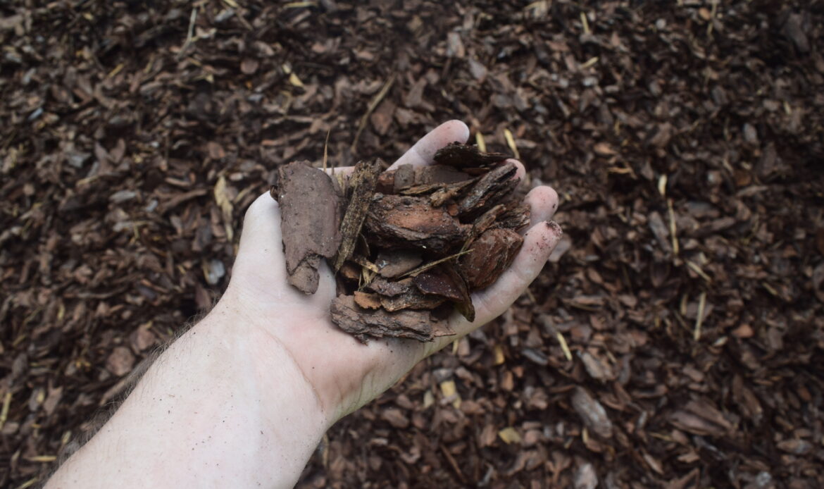 Organic Compost Collection Florida - Atlas Organics